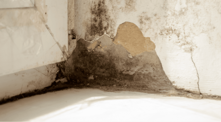 Preventing & Treating Damp in Internal Walls